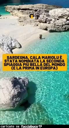 Tutti i meme sulla Sardegna - Facciabuco.com
