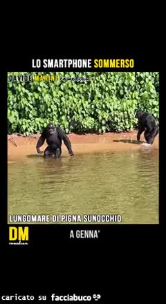 Tutti i meme sulle Scimmie - Facciabuco.com